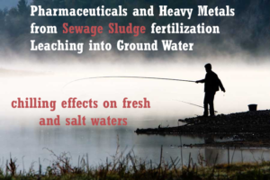 Food Grown in Sewage Sludge - What Ends up in Our Produce and Grains